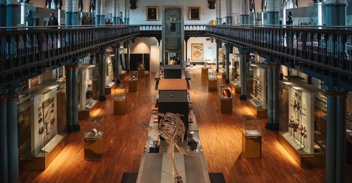Découverte des galeries techniques de la piscine de Vincennes - Odyssea ...