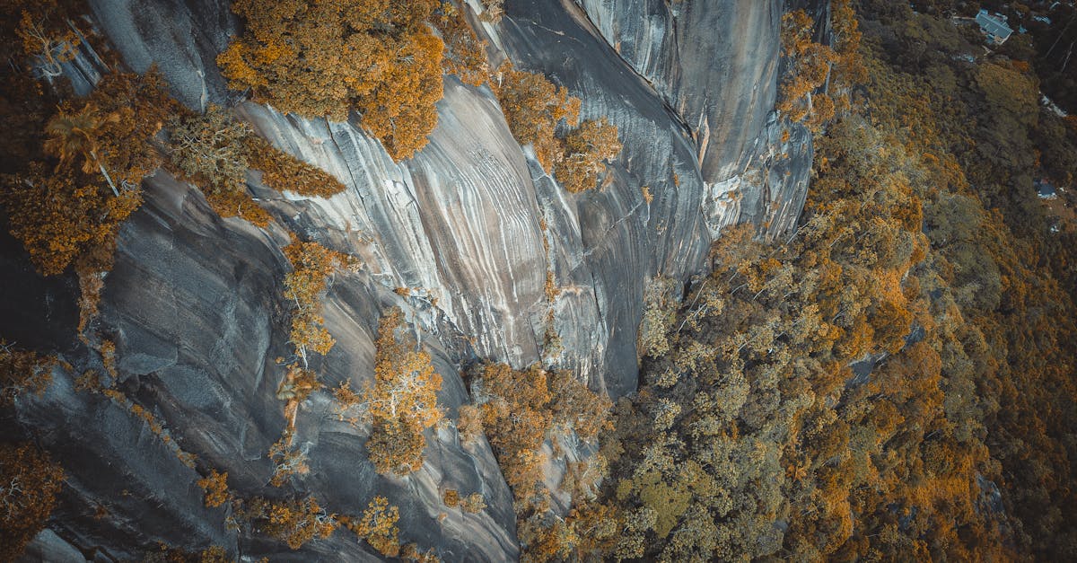Découverte du quartier Pernety-Plaisance à Paris : histoire et ...